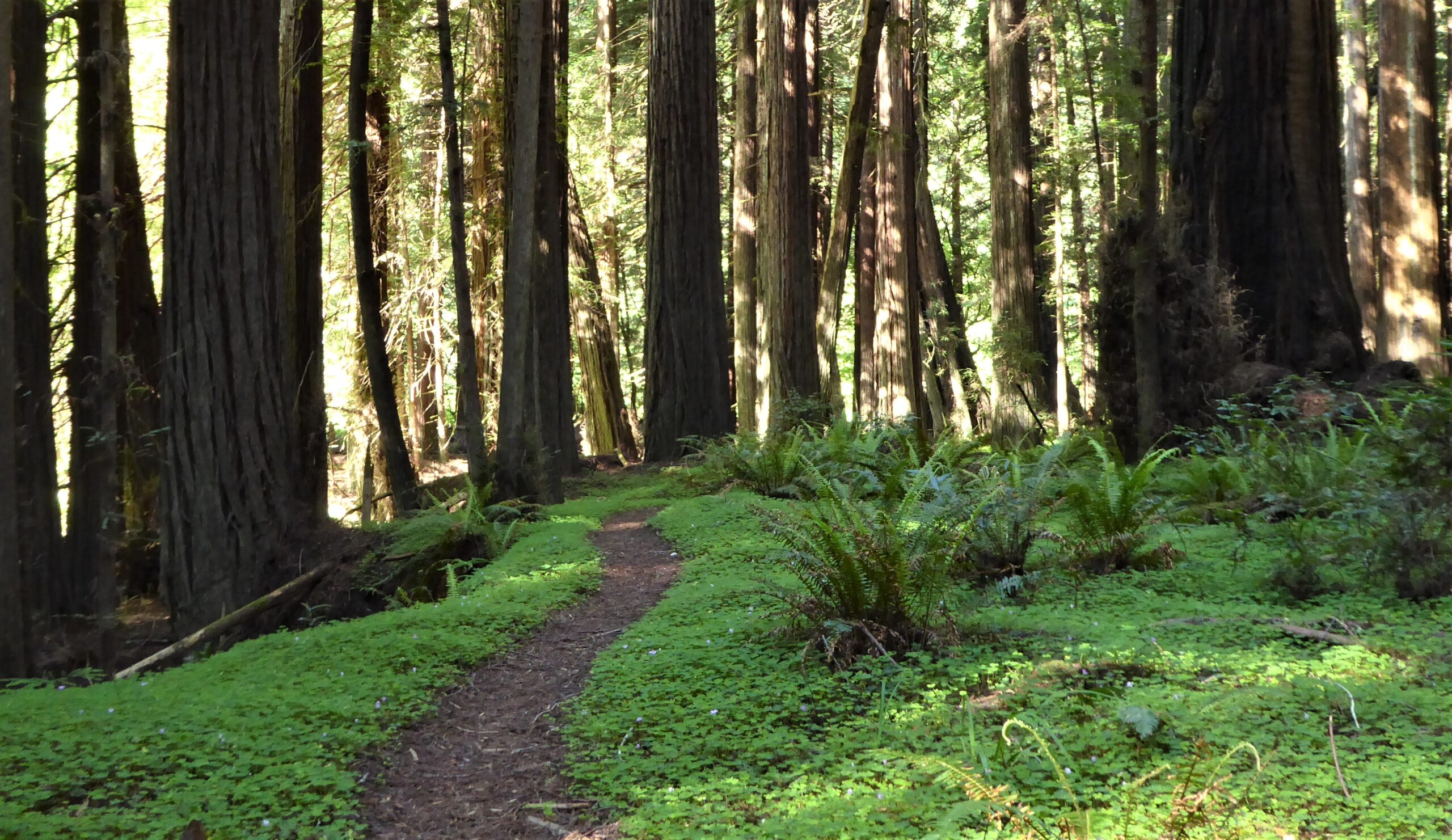 We are not removed from nature. We are part of it. | A Reluctant Spirit ...